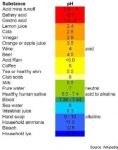 Blood PH Levels and Pain