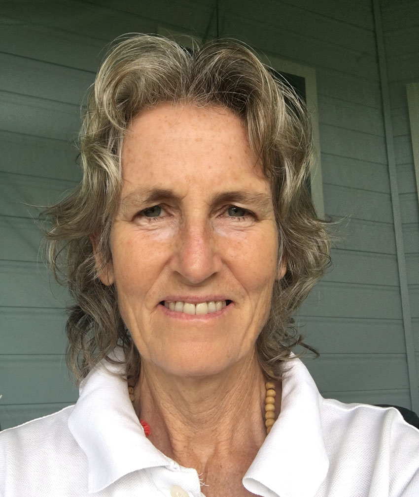 Lose the Back Pain - DVD System